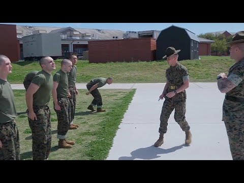 New Recruits Undergo Training at Parris Island in 2026