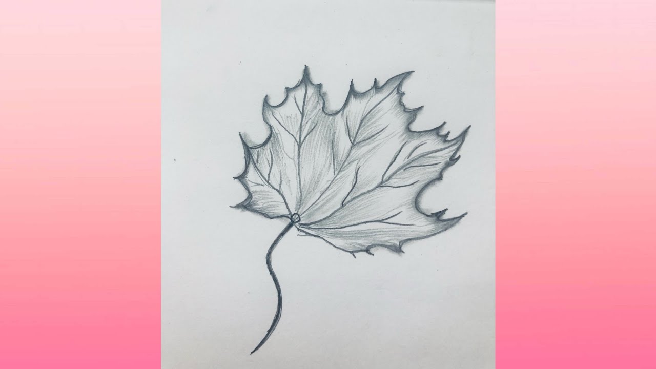 Easy leaf 🍃 drawing step by step - YouTube