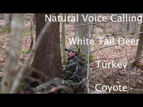 Natural Voice Calling Short 1 turkey deer coyote