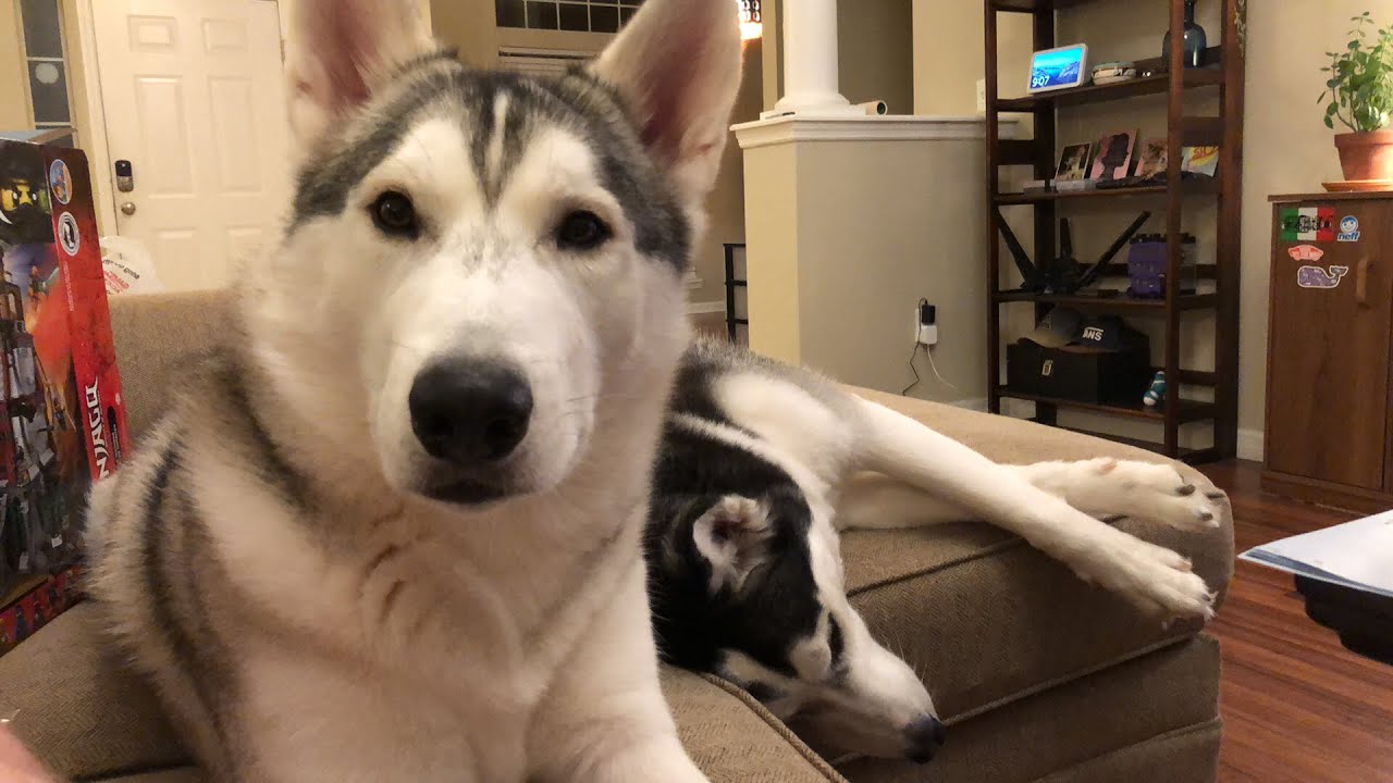 Sixty Formula Live! - YouTube