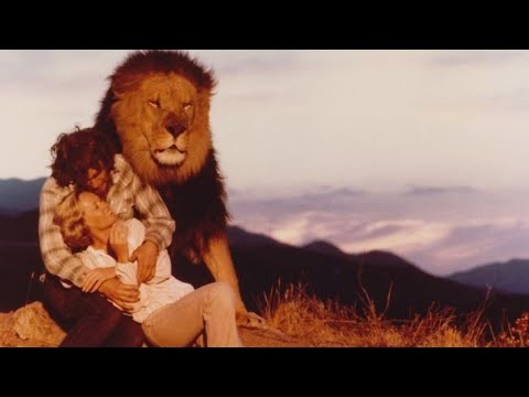 Roar O Filme Mais Perigoso Do Mundo