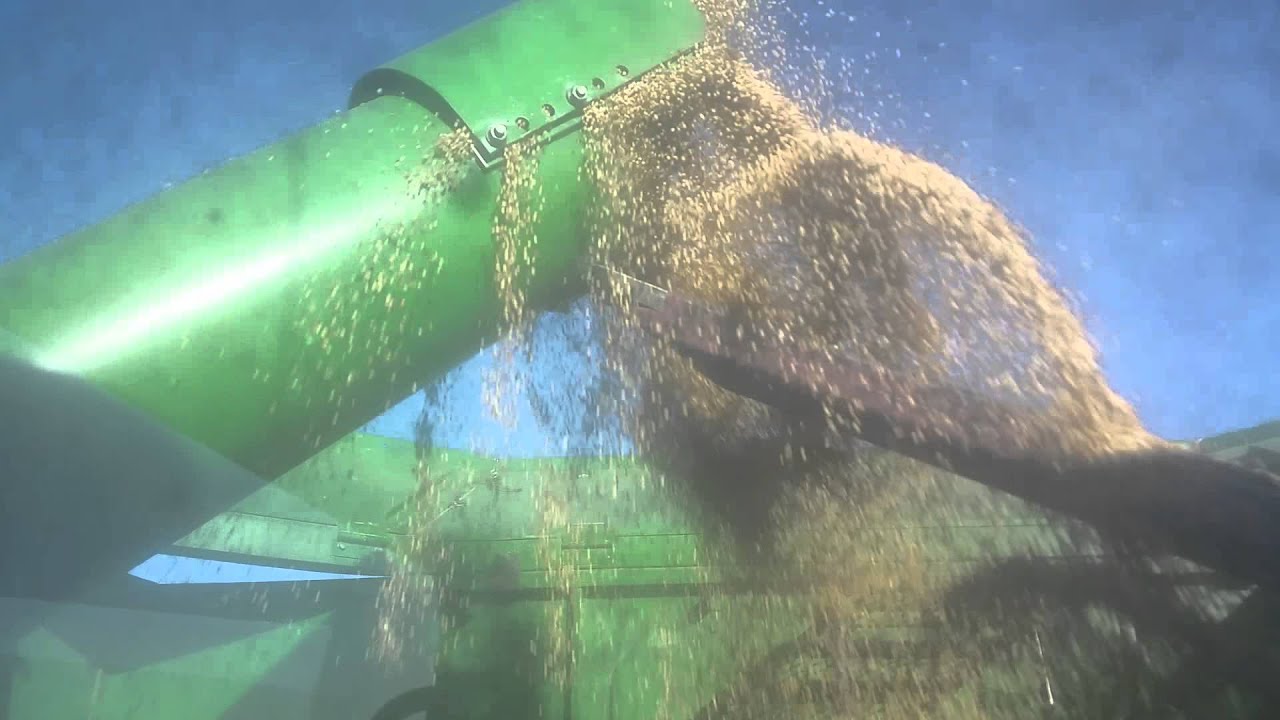 Harvesting 100 bushel milo. - YouTube