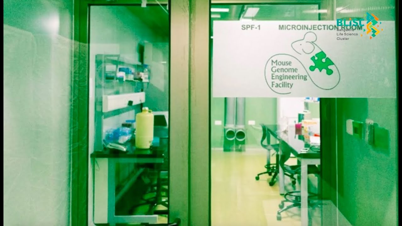 National Science Day at BLiSC with the MGEF - YouTube