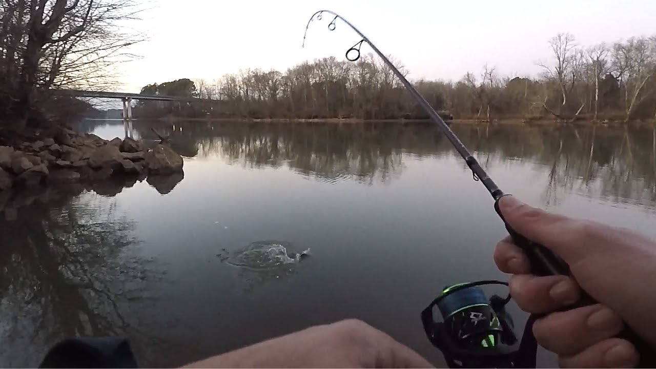 New Viper Reel = NEW BIG FISH!! - YouTube