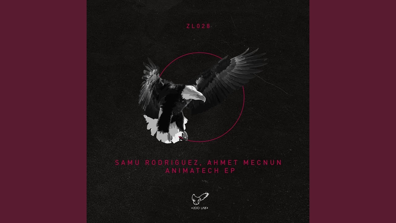 Animatech (Original Mix) - YouTube