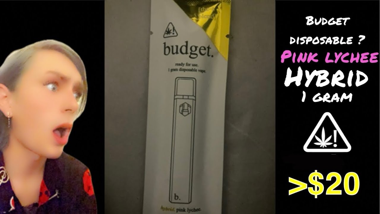 This dispo cost me less than $20| Budget disposable (is it worth it ...