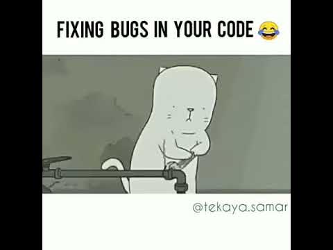 Programming Meme - Fixing Bugs in Your Code Short Video - YouTube