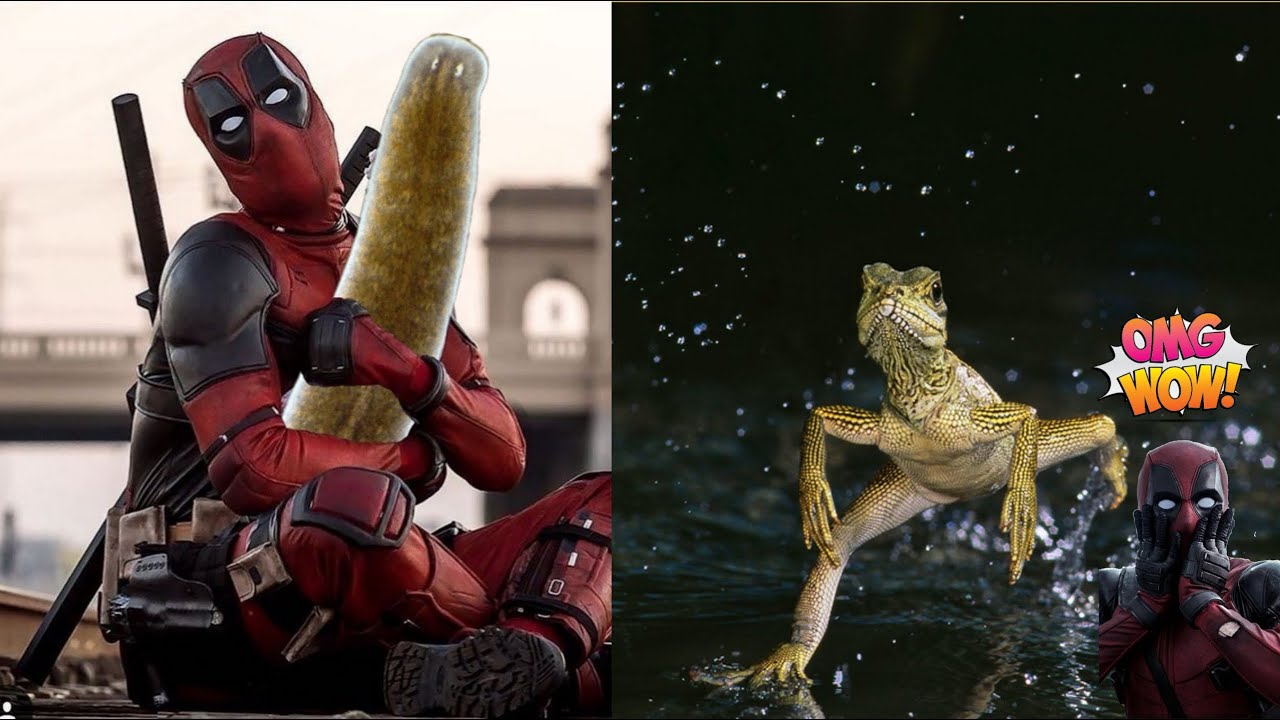 इन जानवरों के लिए नामुमकिन कुछ नहीं है! Animals That Can Do Impossible ...