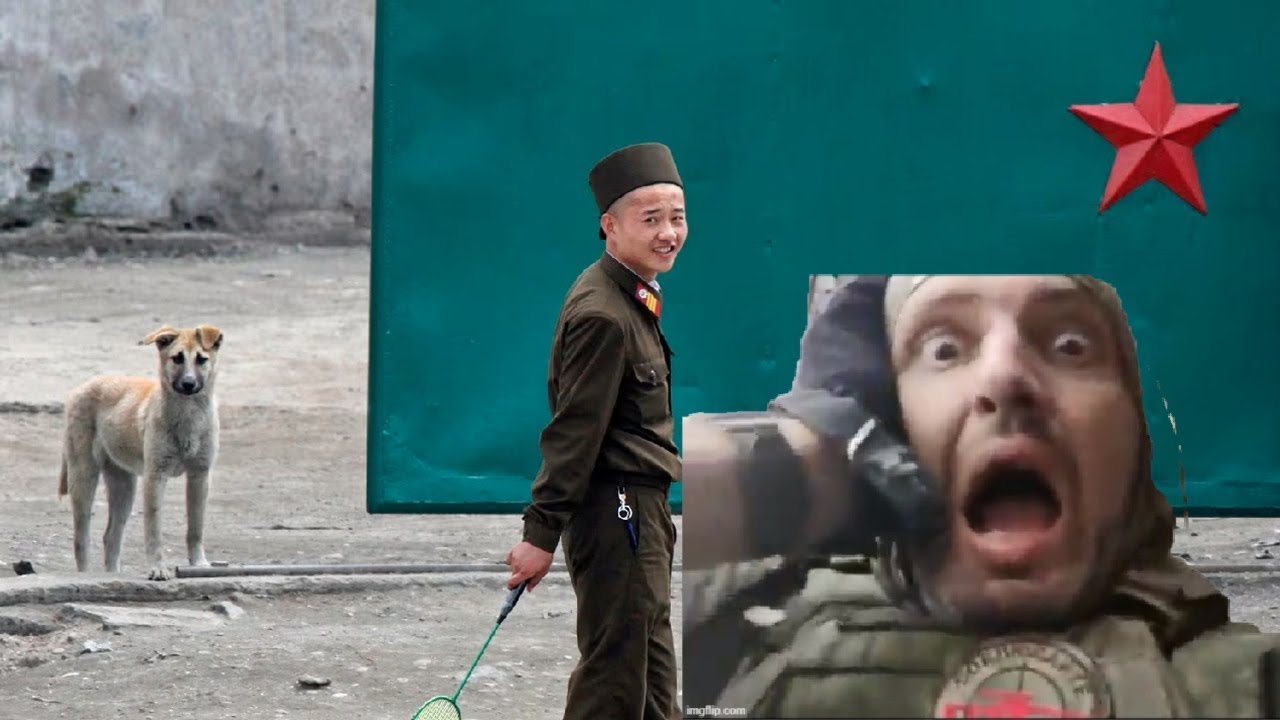 THEY ARE EATING THE DOGS! RUSSIANS ARE DISGUSTED AS THEY ARE FED WITH ...