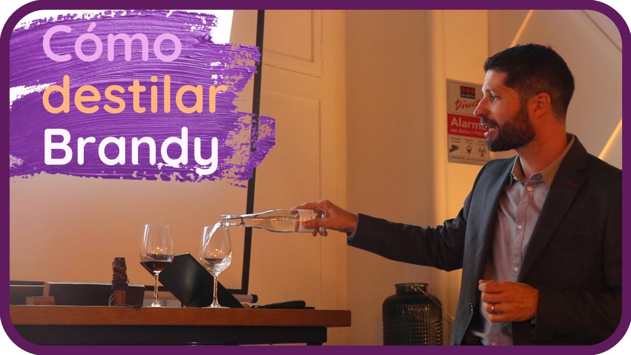 BRANDY vs COGNAC 🥂 Tipos de UVAS para Vinos 🍇 Como DESTILAR Alcohol ...