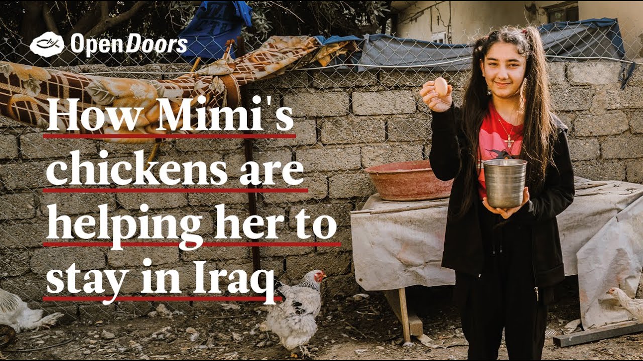 How Mimi's chickens are helping her to stay in Iraq - YouTube