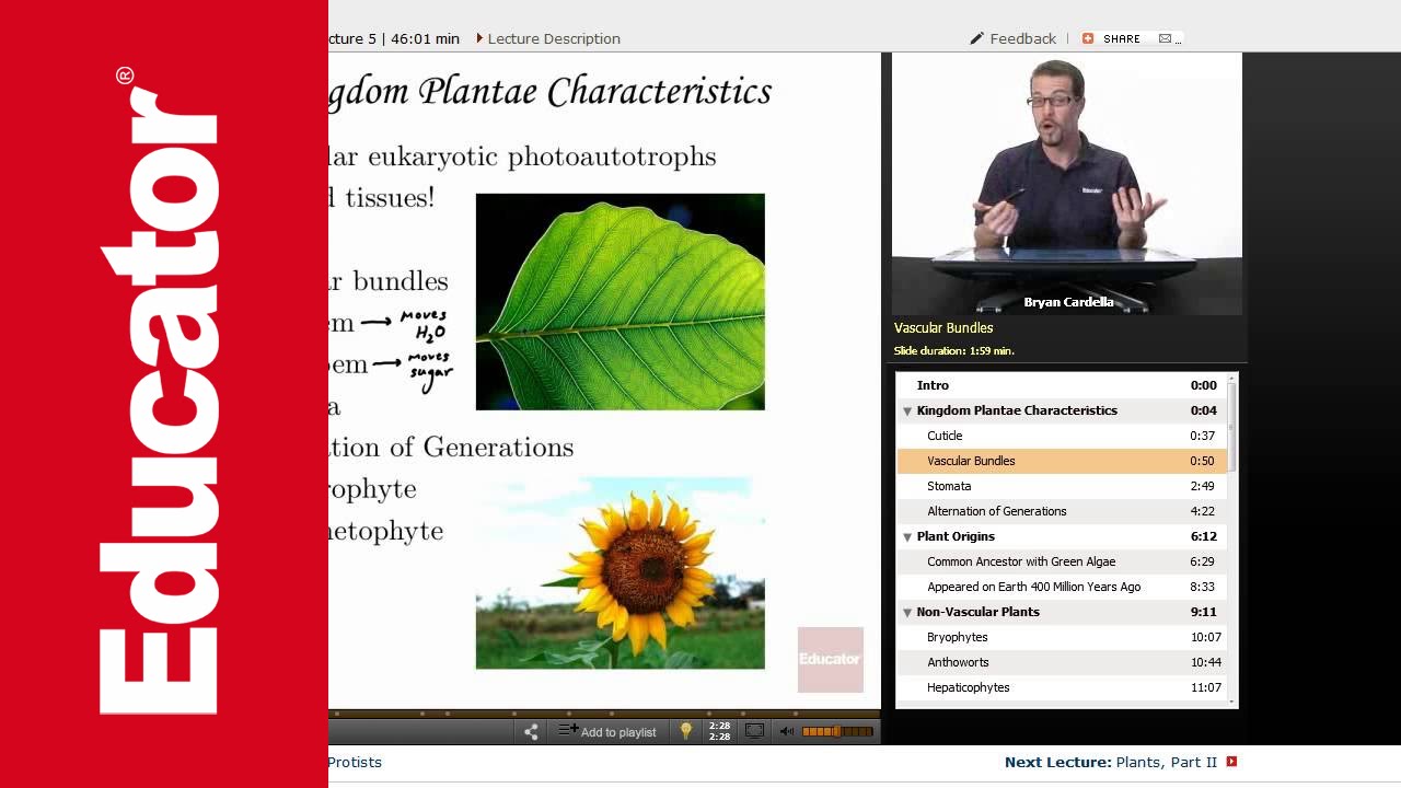 Characteristics Of Plants