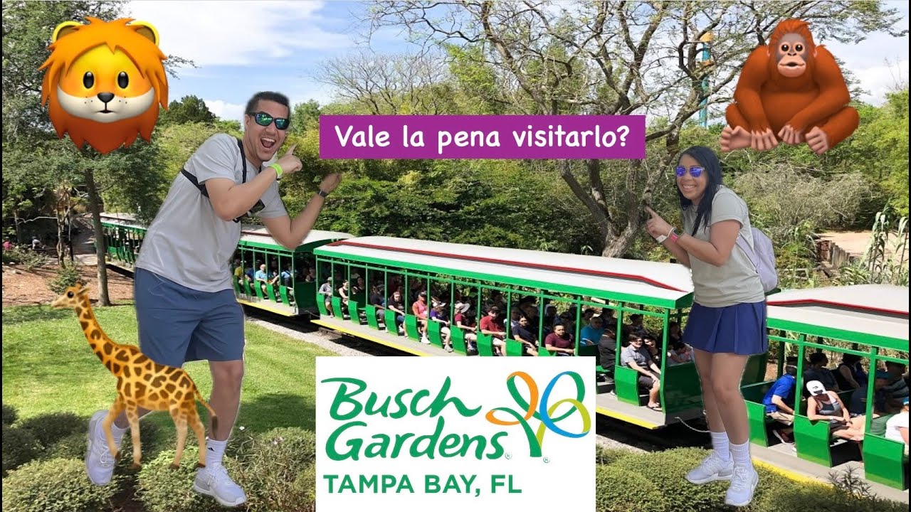 Busch Gardens 2024🎢 Vale la pena visitar esta parque? 🦒🦁 Será uno de ...