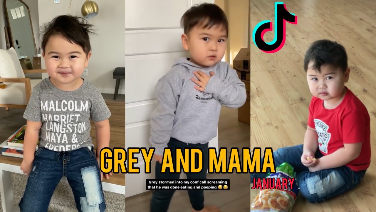 CUTEST BABY GREY #2 | BEST OF GREY AND MAMA | TİKTOK COMPILATION ...