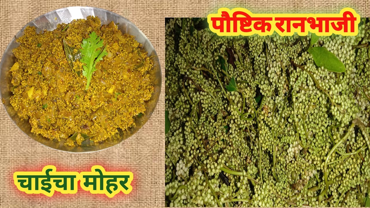 पौष्टिक रानभाजी चाईचा मोहर,उळशीचा मोहर भाजी,गाबोळीची भाजी | Chaicha ...