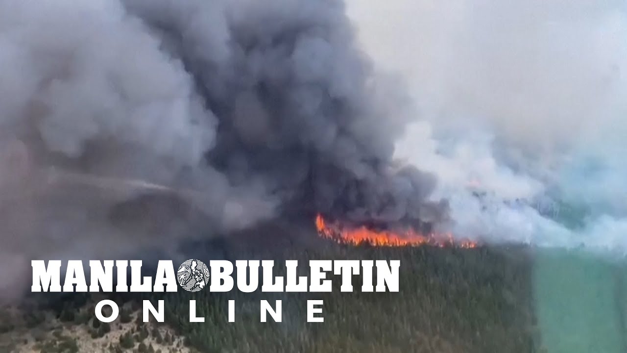 Wildfire ravages massive section of Argentine forest - YouTube