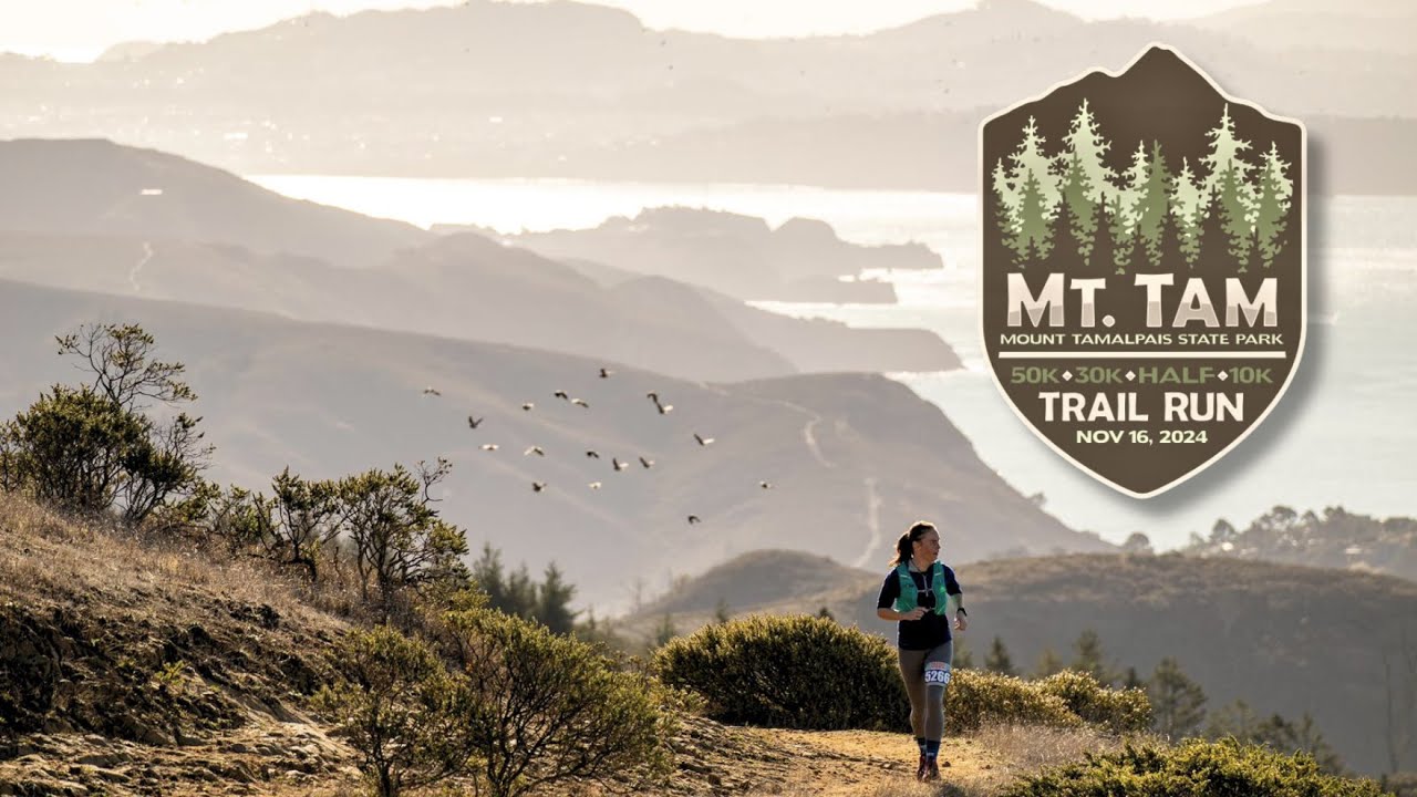 MT. Tam Trail Run 2024 - YouTube