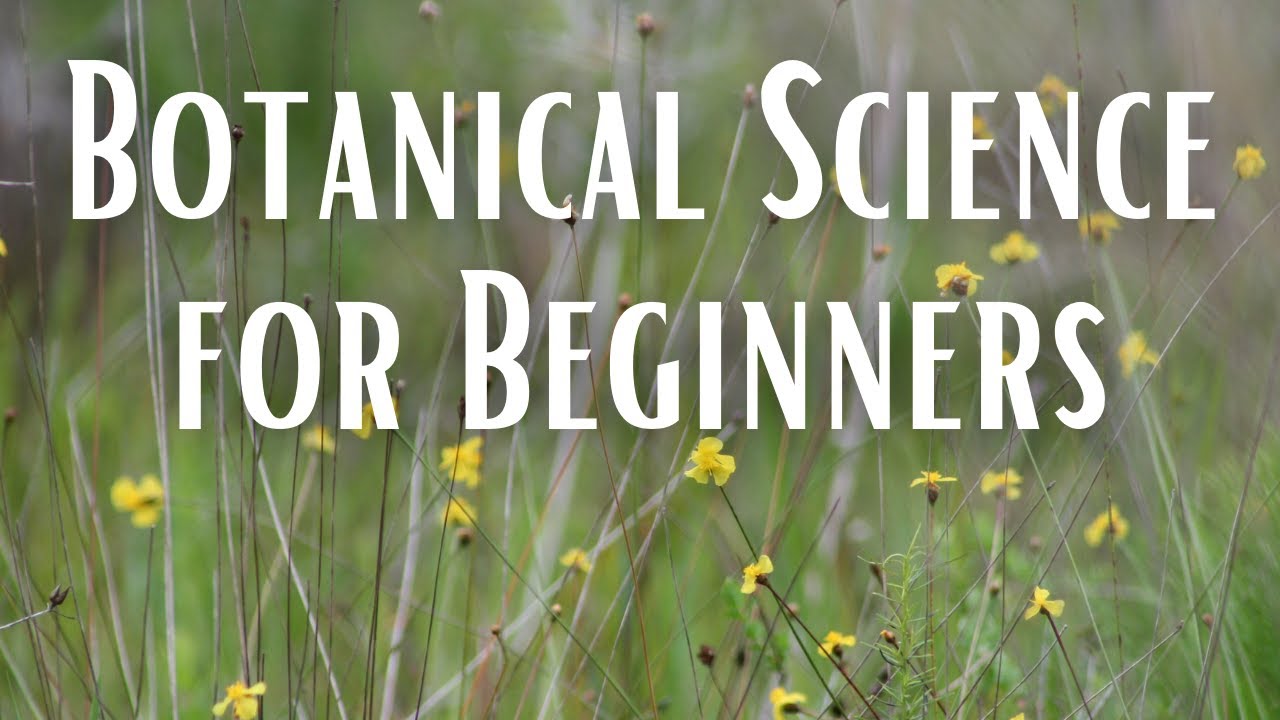 Botanical Science for Beginners - YouTube