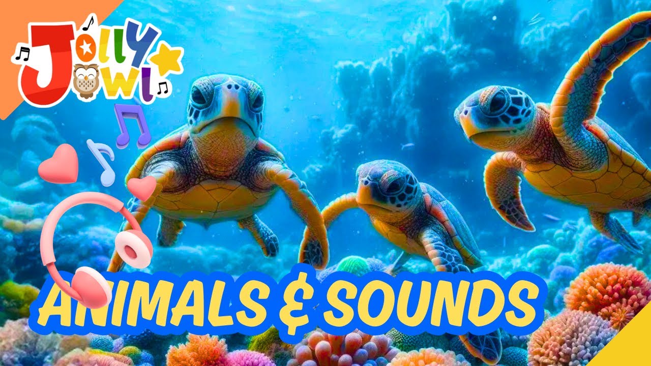 Underwater Animals & Sounds Sea Turtle Orca Octopus Squid Dolphin Ray ...