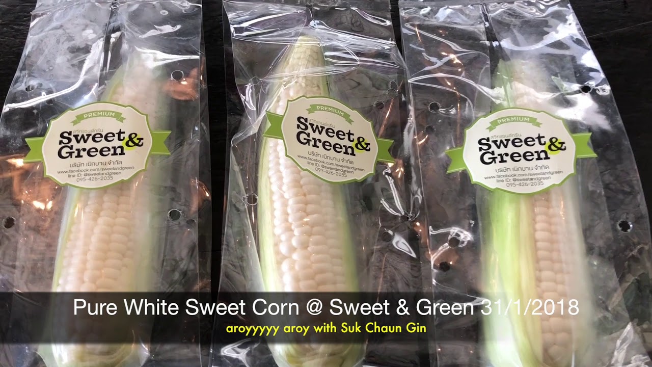 Suk Chaun Gin : Pure White Sweet Corn @ Sweet & Green, Pak Chong - YouTube