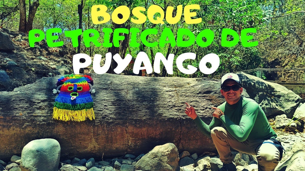 BOSQUE PETRIFICADO DE PUYANGO [ Una Maravilla De Ecuador Para El Mundo ...