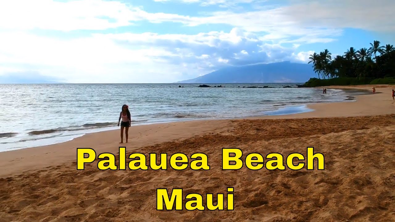 Palauea beach Maui Aerial Shot Taken by DJI Spark Drone - YouTube