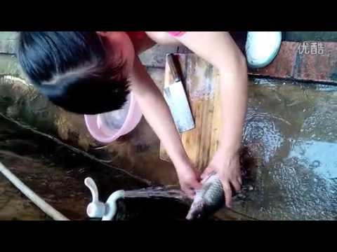 女大生活宰魚College girl kills and guts fish