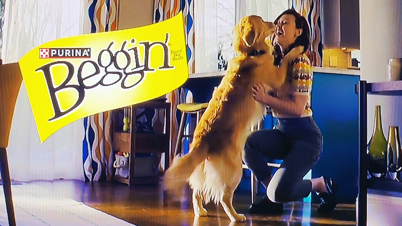 PURINA COMMERCIAL 2025 | PURINA BEGGIN: MADE WITH REAL BACON | PURINA ...
