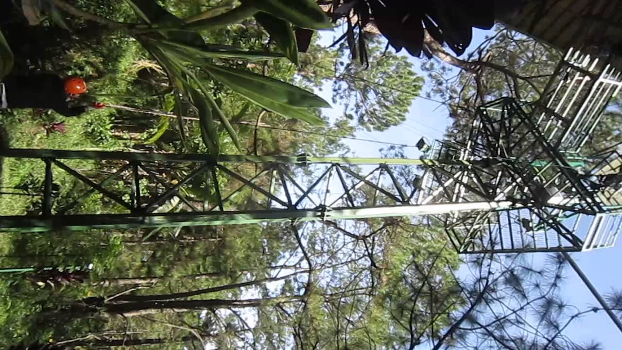 TreeTop Adventure Baguio -- Tree Drop Rapelling - YouTube