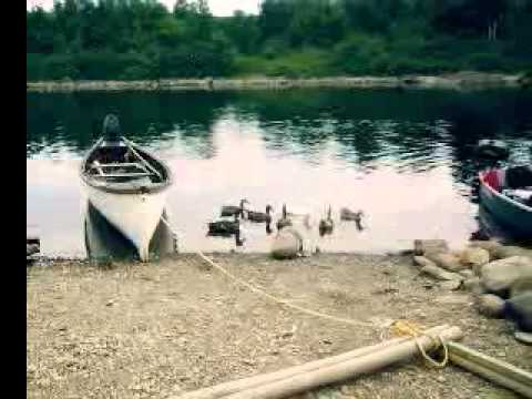 Gander River Blues - YouTube