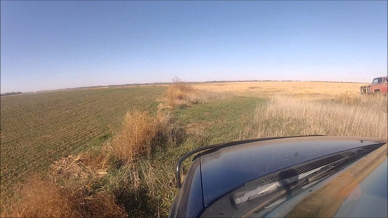Kansas Coyote Hunt - YouTube