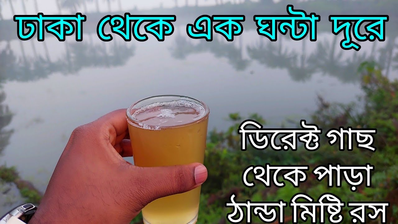 KHEJURER ROSH | শীতের সকালের খেজুরের রস | Khejurer Rosh Near Dhaka ...