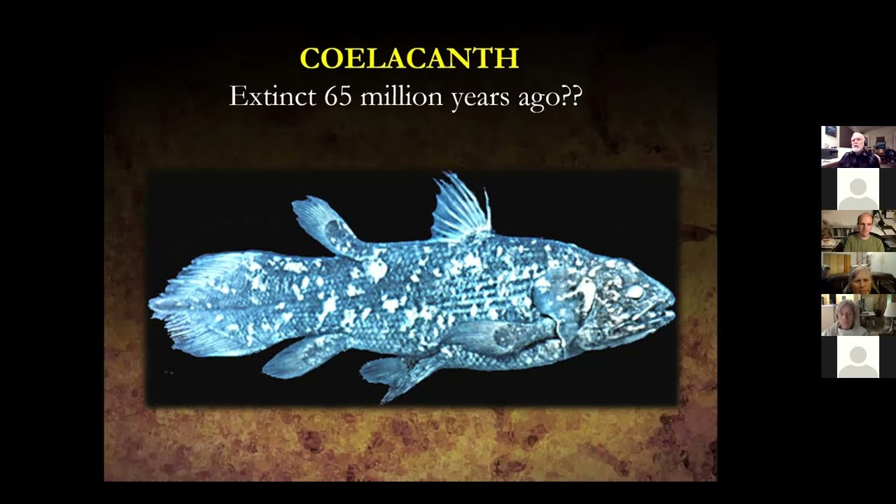 Creation Science Training - Was Darwin Wrong? - Fossils & Cavemen ...