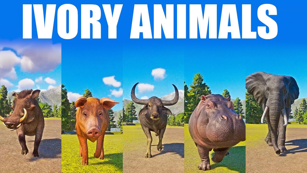 Ivory Animals Speed Race in Planet Zoo included Elephant, Pig, Warthog ...