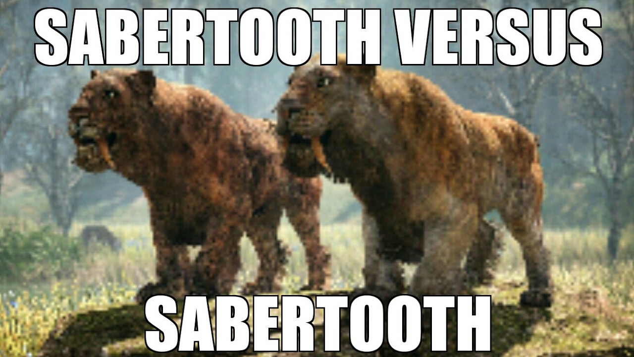 Sabertooth vs Sabertooth Far Cry Primal - YouTube