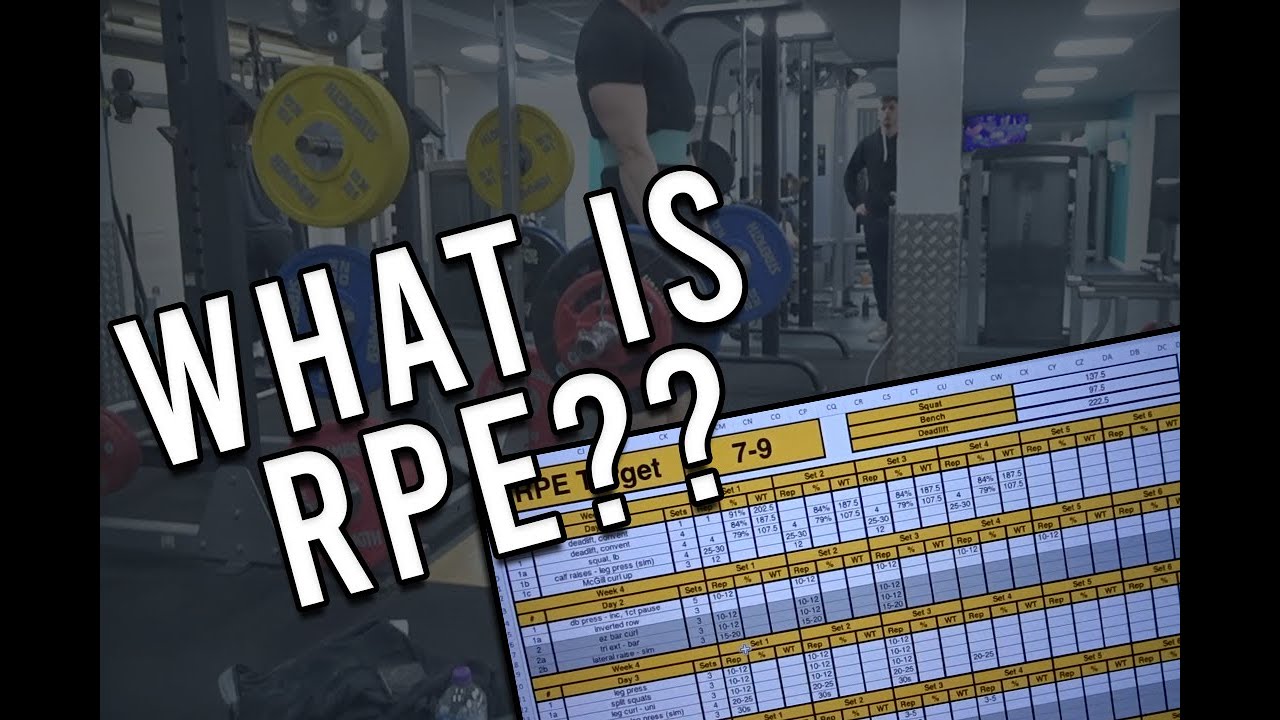 WHAT IS RPE? MY POWERLIFTING PROGRAMME | Strength Diaries Entry 2 - YouTube