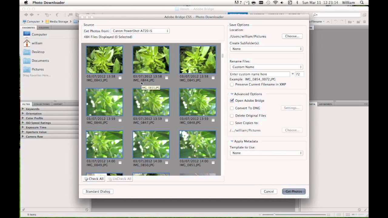 Tutorial: Import Photos With Bridge - YouTube