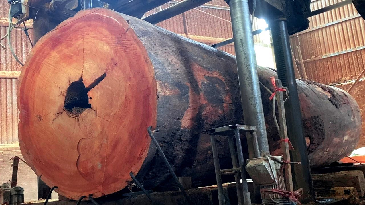 Great Techniques for Operation of Giant Saws // Modern Fastest and ...