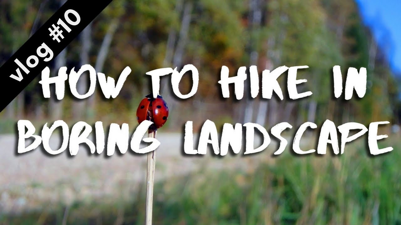 HOW TO HIKE IN BORING LANDSCAPE // Hiking Through Estonia vlog #10 ...