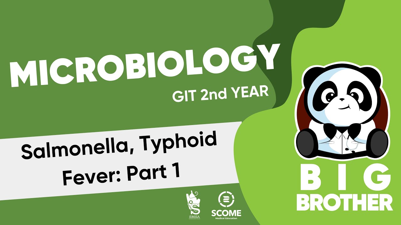 Diarrhea I: Escherichia Coli - YouTube