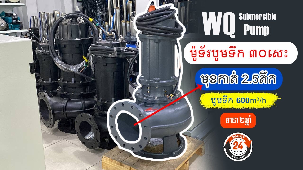 ម៉ូទ័របូមទឹក លីអូ | WQ 22kW | Submersible | LEO Pump Cambodia - YouTube
