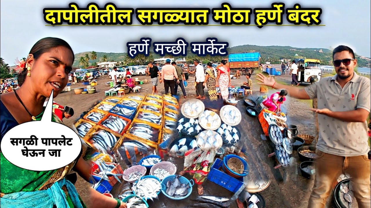 दापोलीला गेल्यावर झाला मोठा "पोपट"🤬🤬|हर्णे बंदरचा मोठा मच्छी मार्केट ...