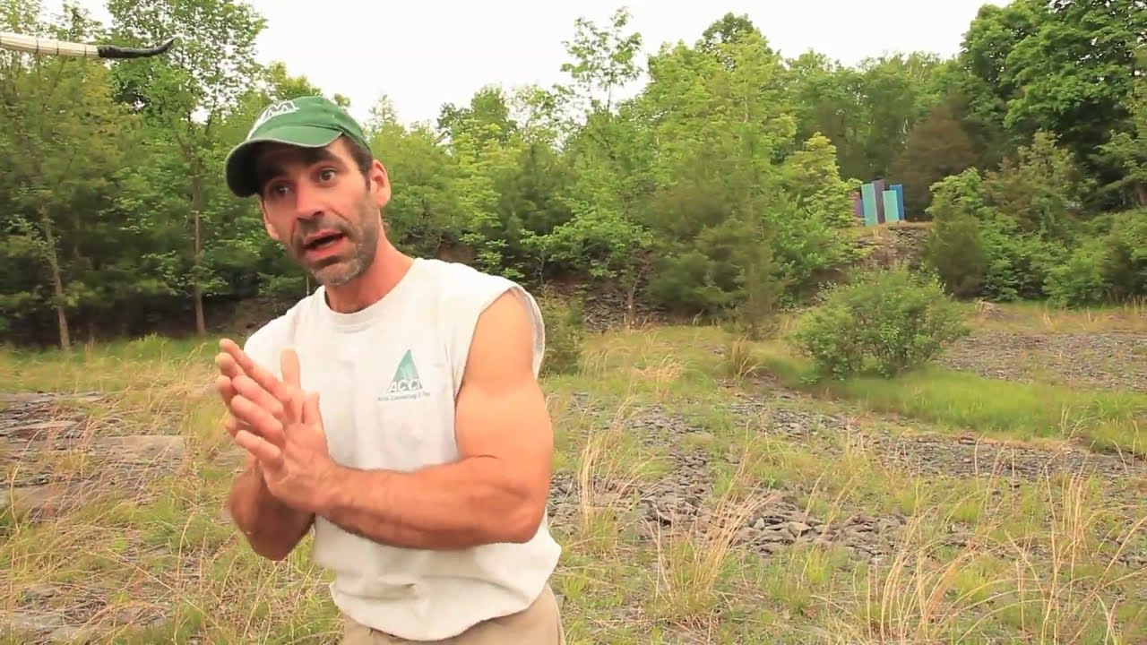 Michael Ciccone.mov - YouTube