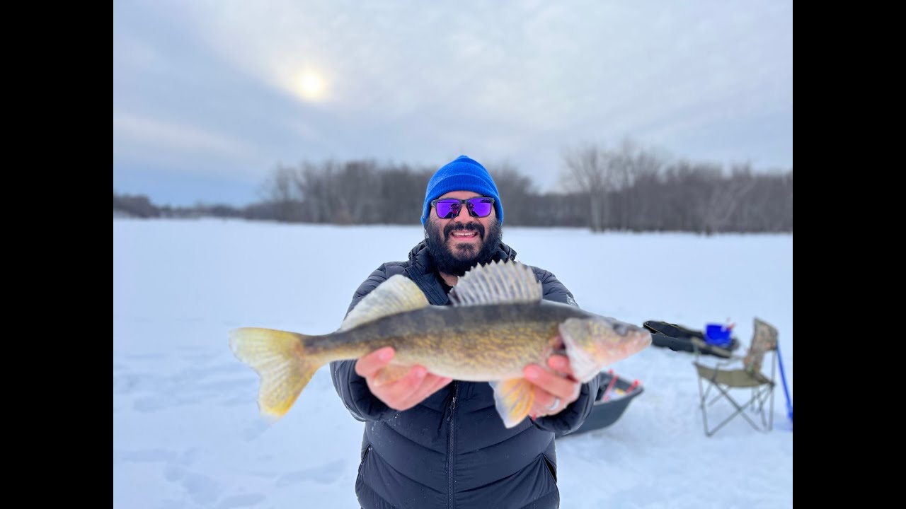 Too big to keep Walleyes (40 cm and under slot for ZONE 25) - YouTube