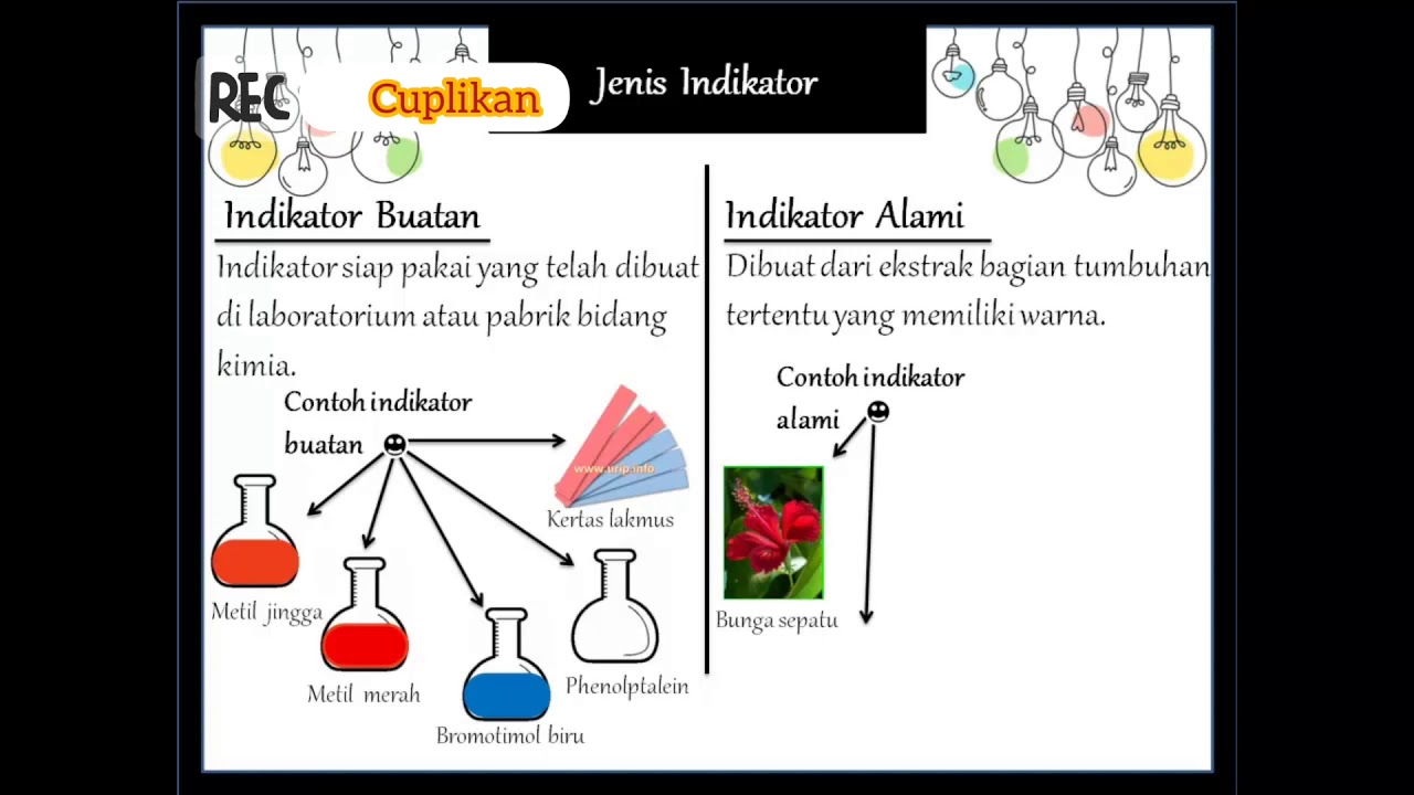 Menentukan Trayek pH Indikator - YouTube