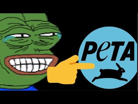 Peta Meme - YouTube