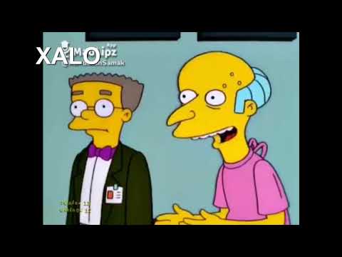 XALO - CORONA