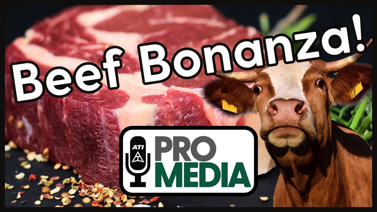 Beef Bonanza! - YouTube