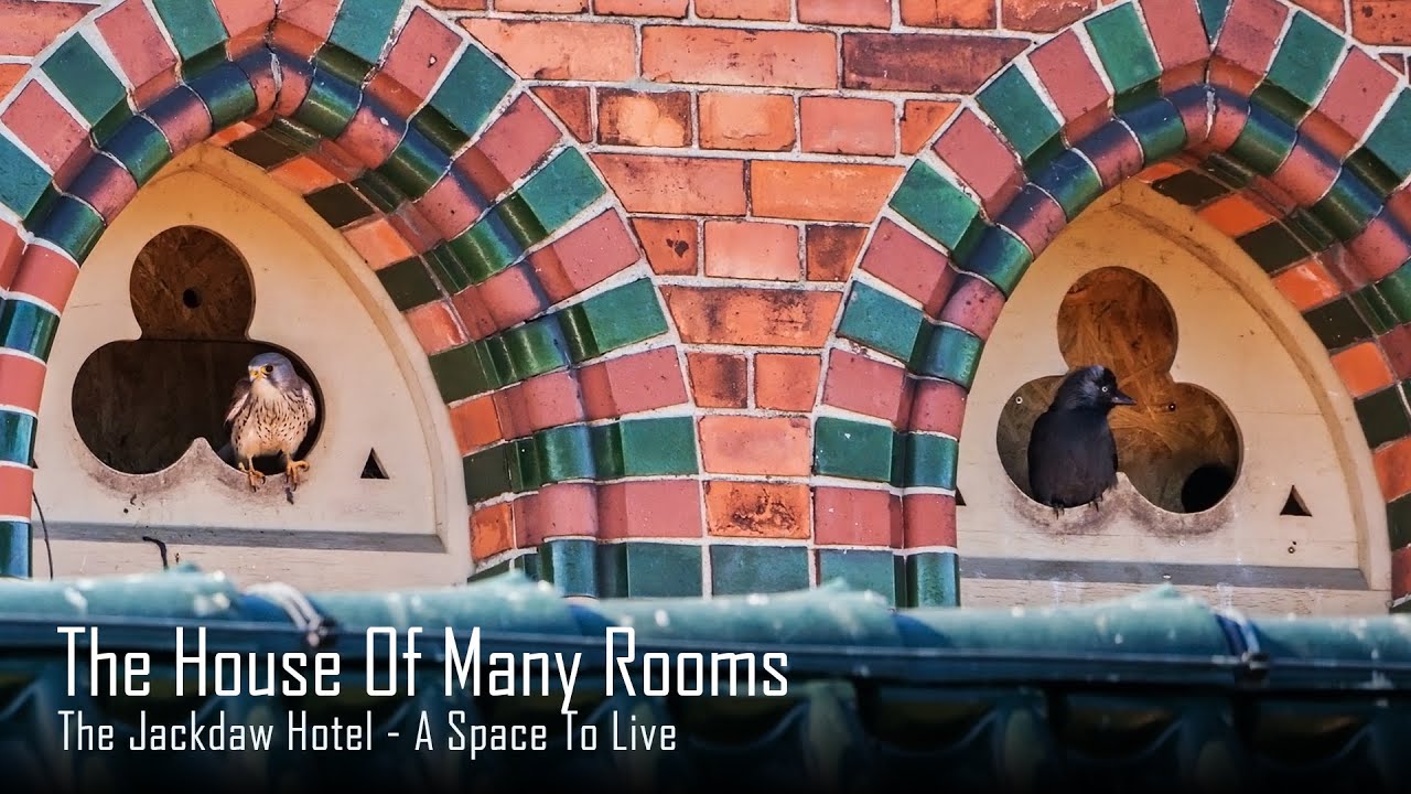 The House Of Many Rooms The Jackdaw Hotel - A Space To Live - YouTube