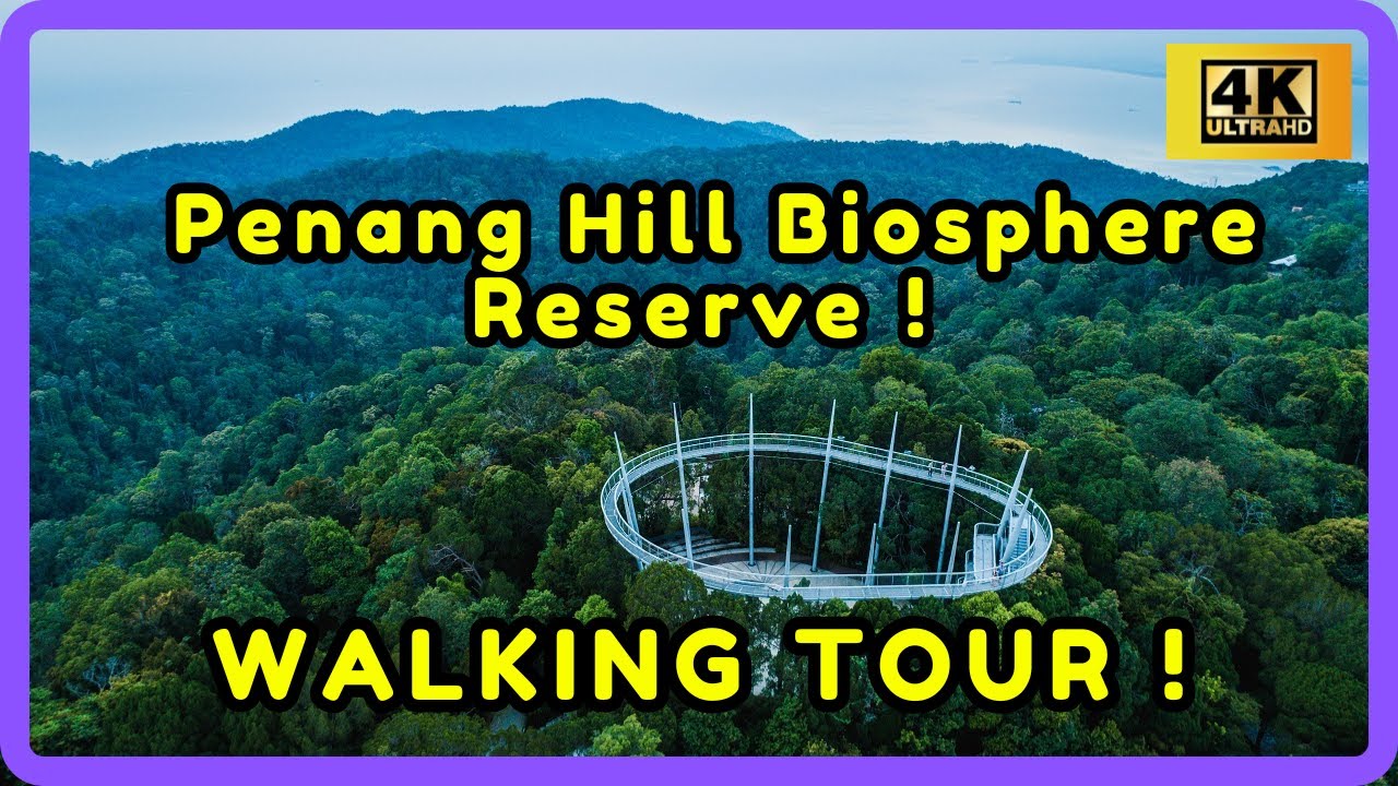 Join us on an unforgettable walking tour at Penang Hill Biosphere ...